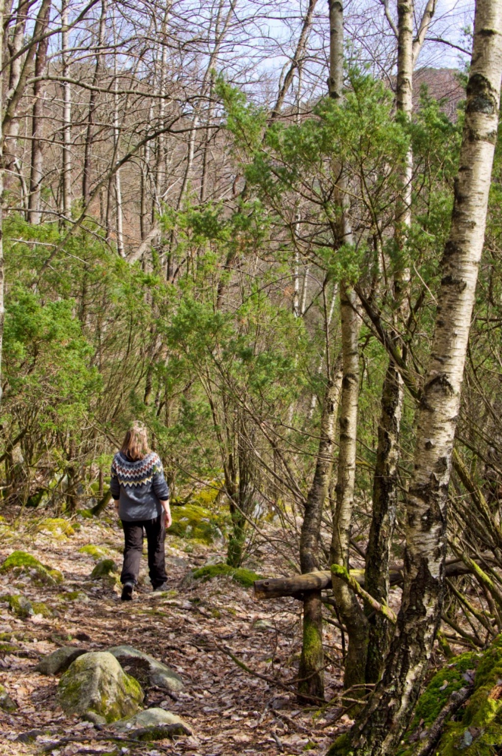 Horve, Eikeli - turforslag i Sandnes . - The Nordic Escape